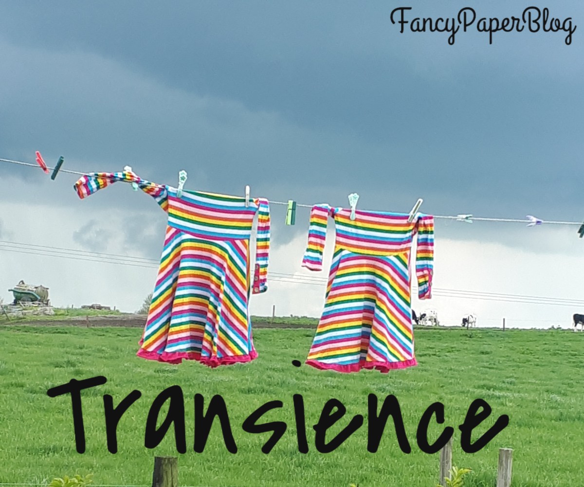 Transience: Marking the Big Moments in Life | fancypaper